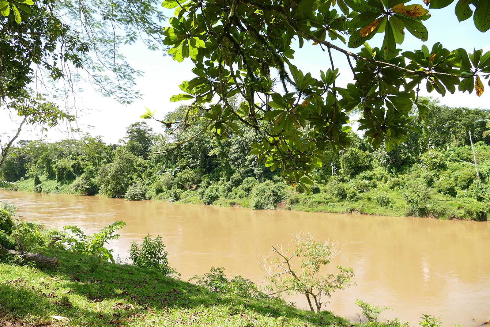 RACCN: Enfrentamiento entre colonos deja un fallecido en Tasba Raya ...